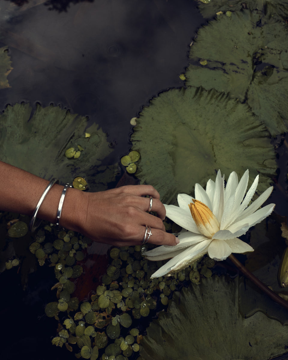 Discover The Lotus – by charlotte