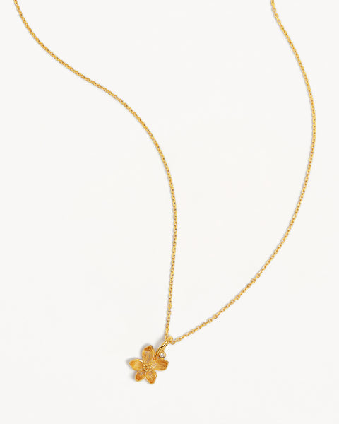 18k Gold Vermeil Violet February Birth Flower Necklace – by charlotte