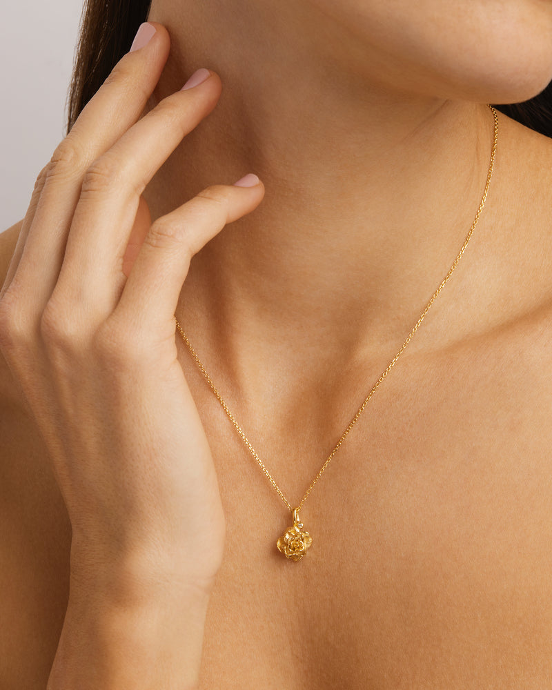 18k Gold Vermeil Rose June Birth Flower Necklace – by charlotte