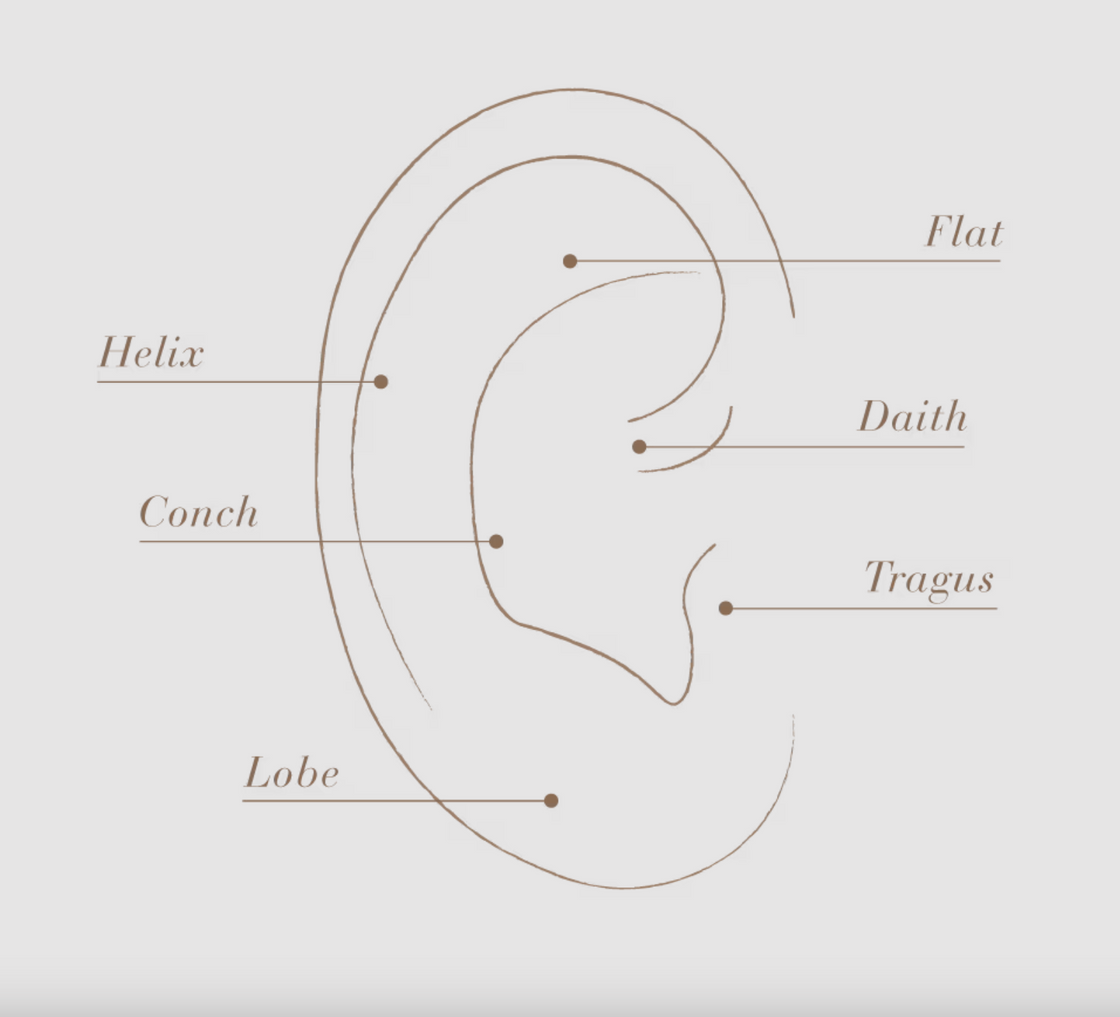 Piercing Studios – by charlotte