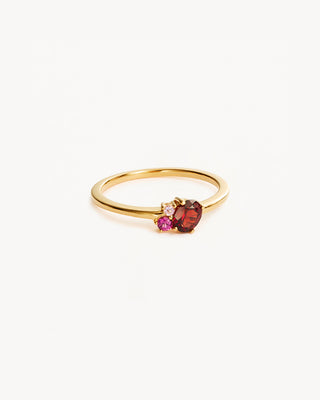 18k Gold Vermeil Kindred Birthstone Ring - January – by charlotte